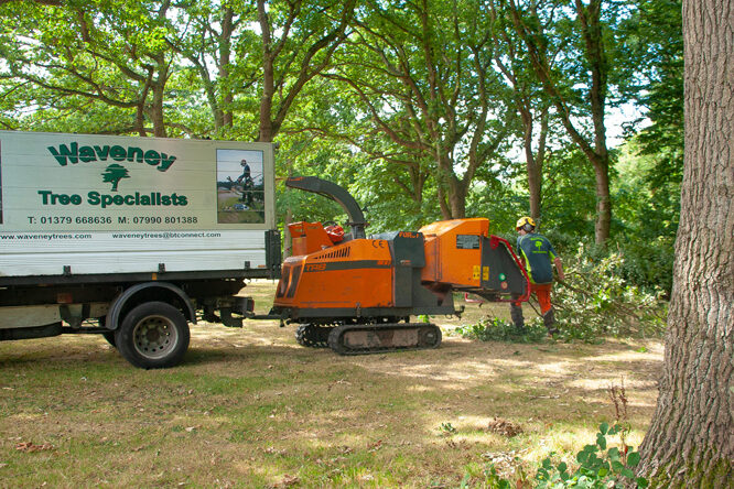 Waveney Tree Specialists - Norfolk, Suffolk, Essex, Cambs