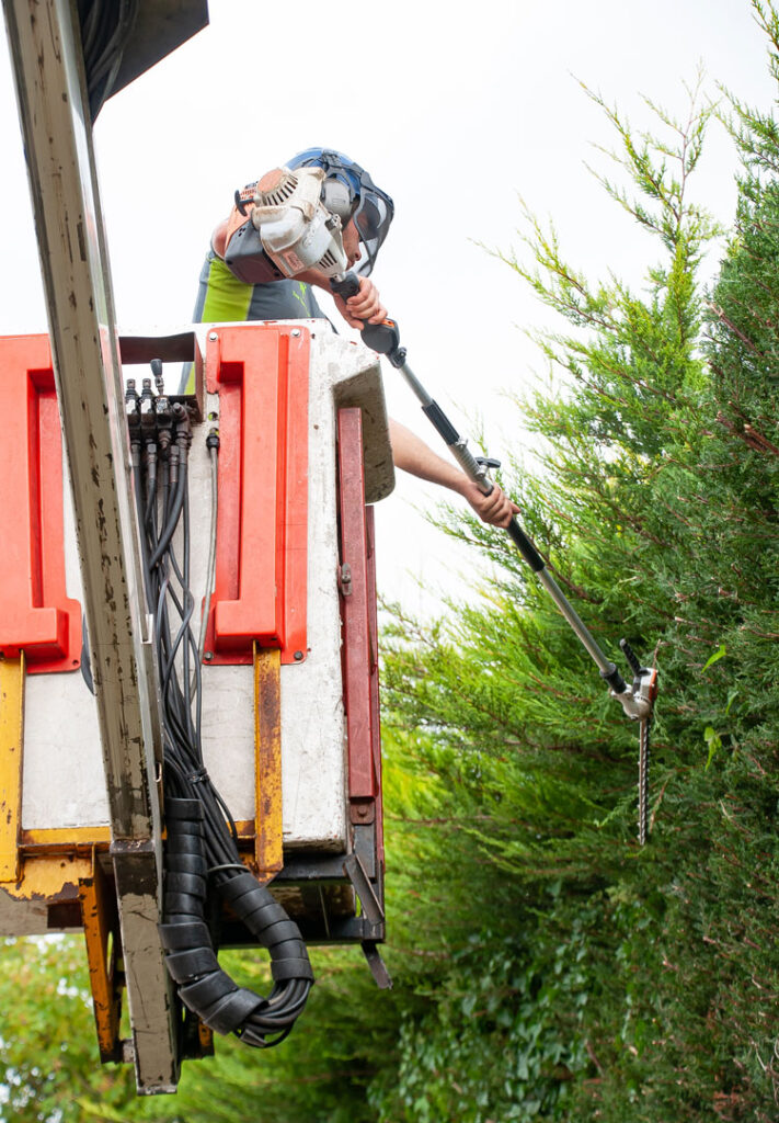 Waveney Tree Specialists - Norfolk, Suffolk, Essex, Cambs
